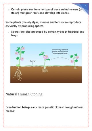 "Cloning 101" -Biology investigatory project (class 12) | PDF