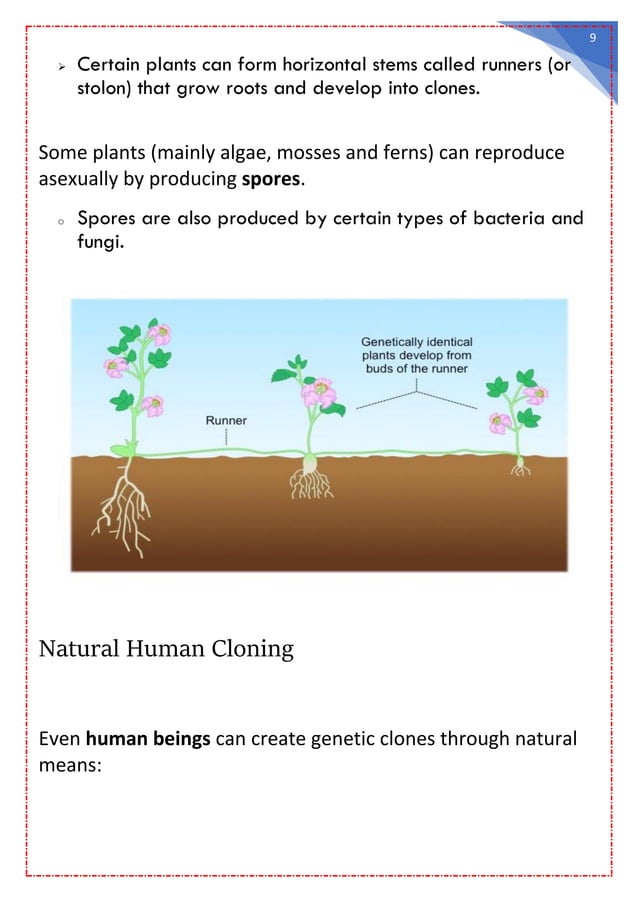 "Cloning 101" -Biology investigatory project (class 12) | PDF | Infertility | Reproductive Health