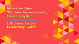 Biology project (Organ system) | PPTX