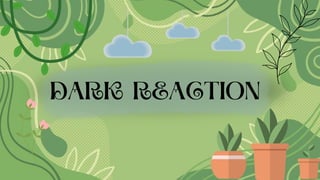 Class 10 -Biology dark reaction isce | simple and easy | PDF