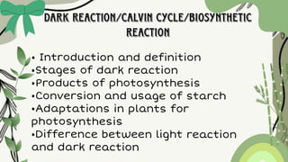 Class 10 -Biology dark reaction isce | simple and easy | PDF