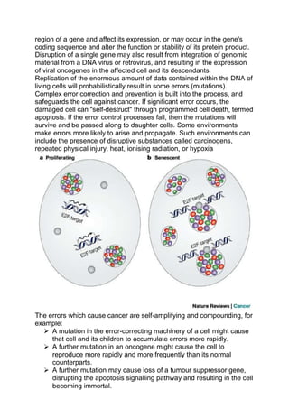 biology project cancer.docx