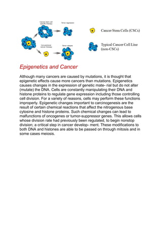 biology project cancer.docx