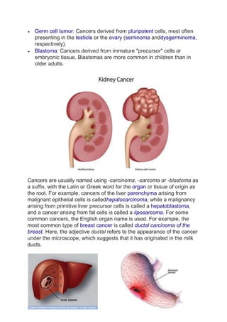 biology project cancer.docx