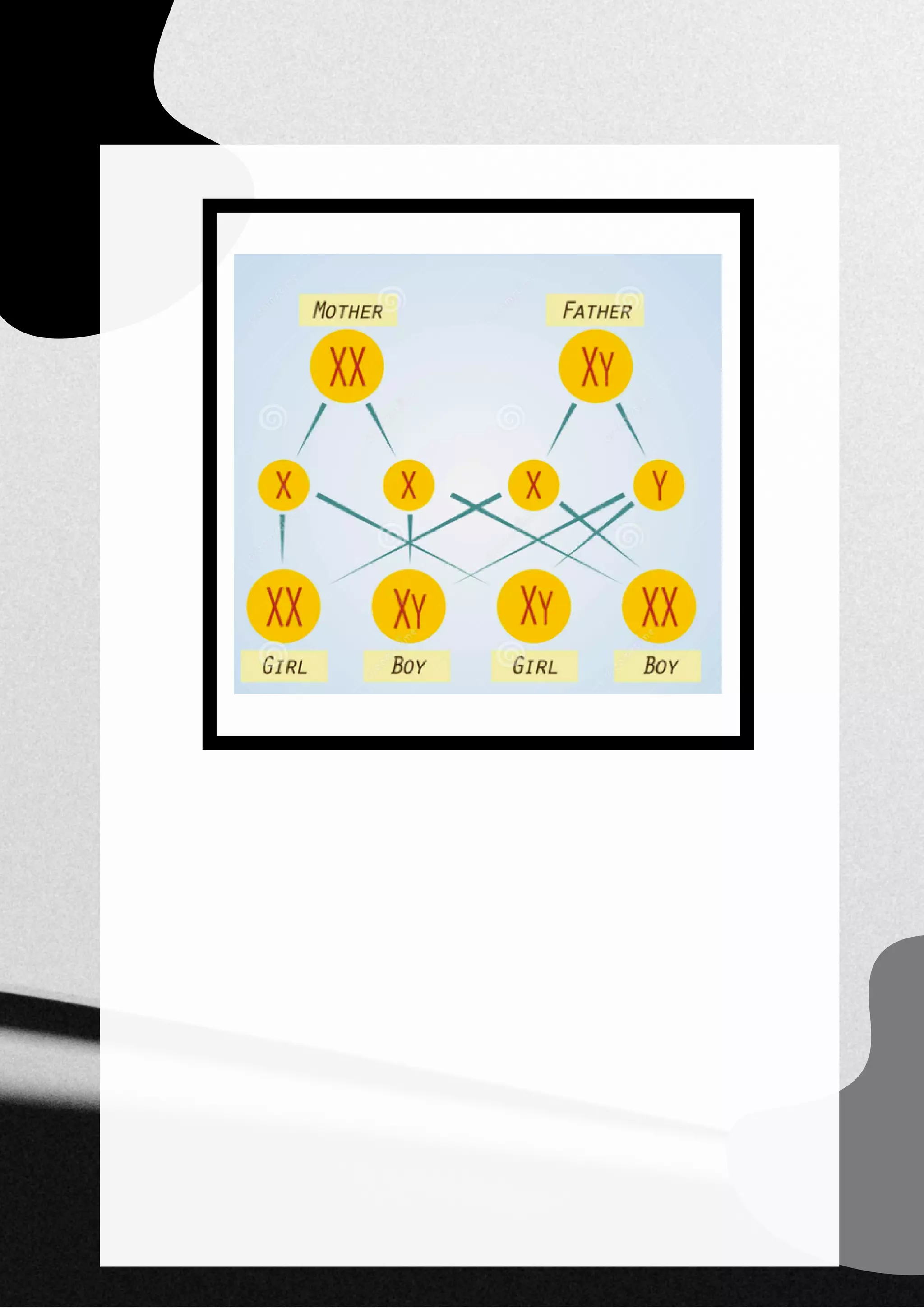 BIOLOGY PROJECT FILE.pdf
