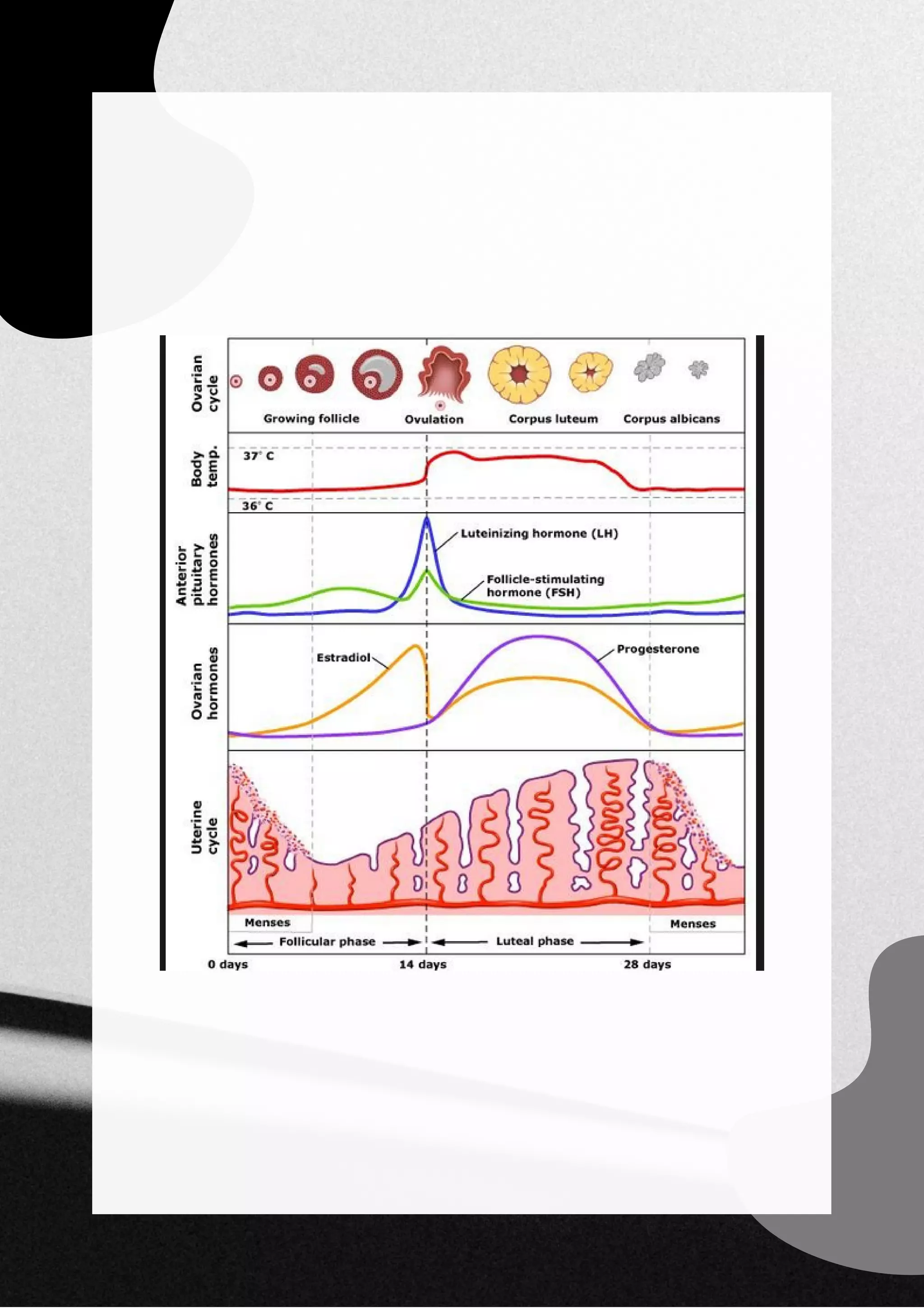 BIOLOGY PROJECT FILE.pdf