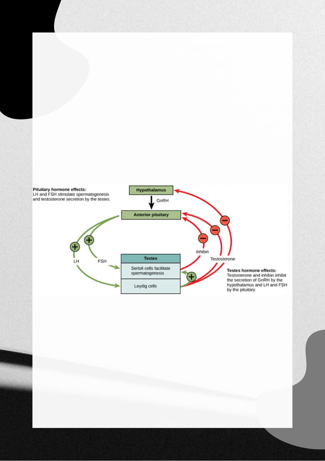 BIOLOGY PROJECT FILE.pdf