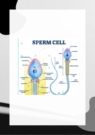 BIOLOGY PROJECT FILE.pdf