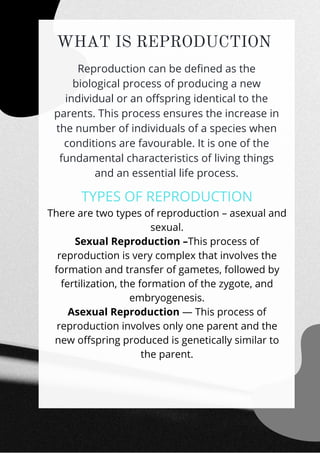 BIOLOGY PROJECT FILE.pdf