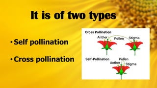 pollination.pdf