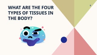 Biology Quiz about Tissues (Muscles and Neuron ) | PPTX