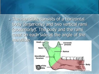biology remnanthajsjsjansjnanajas 1.pptx