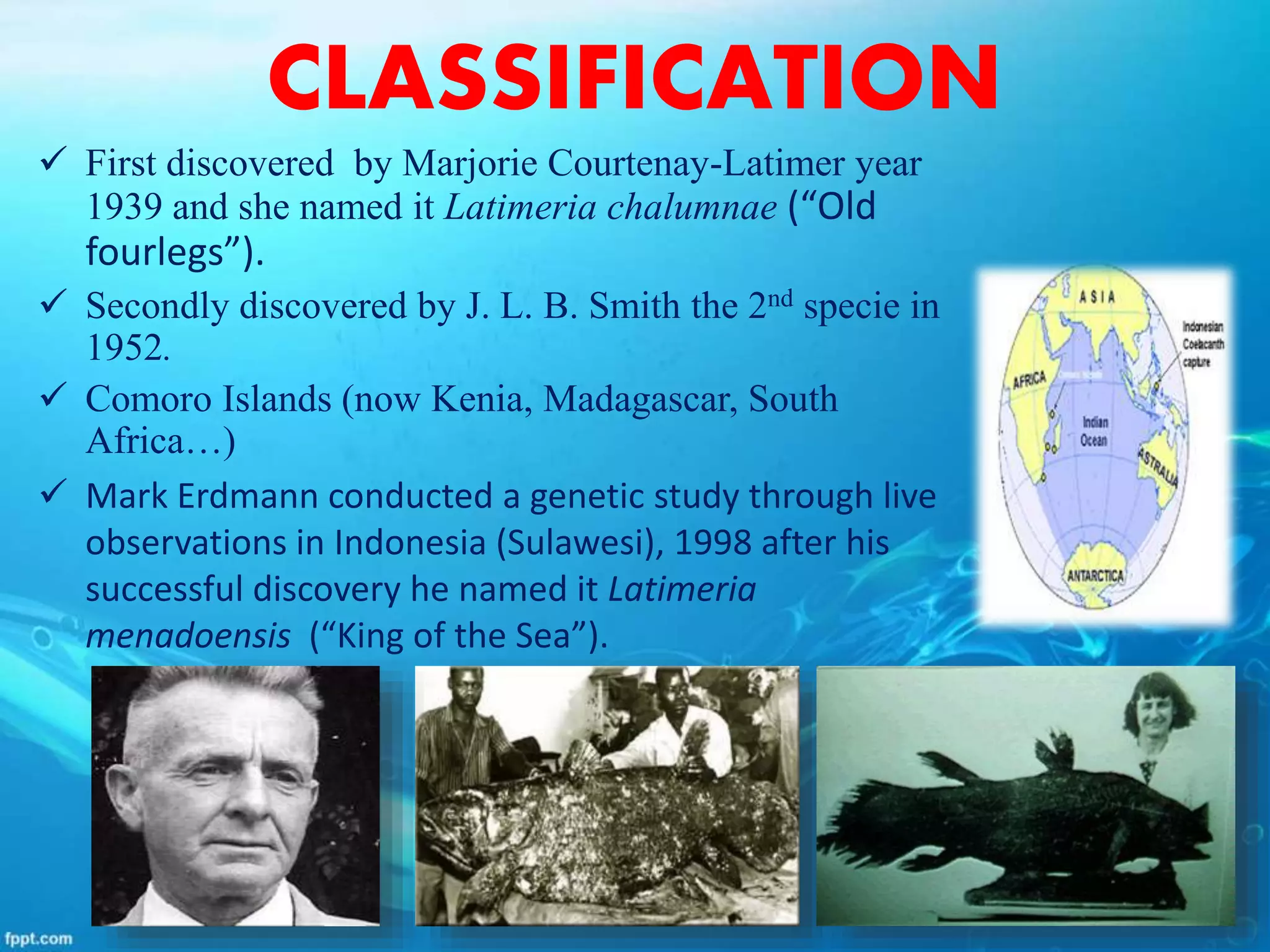 Class Actinopterygii and Class Sarcopterygii | PPTX
