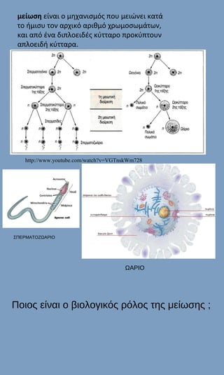 Biology reproduction | PPT