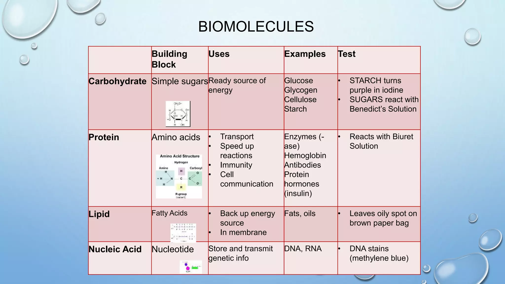 Biology review units 1 6 | PPTX