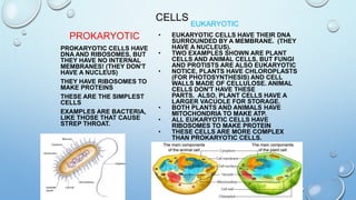 Biology review units 1 6 | PPT
