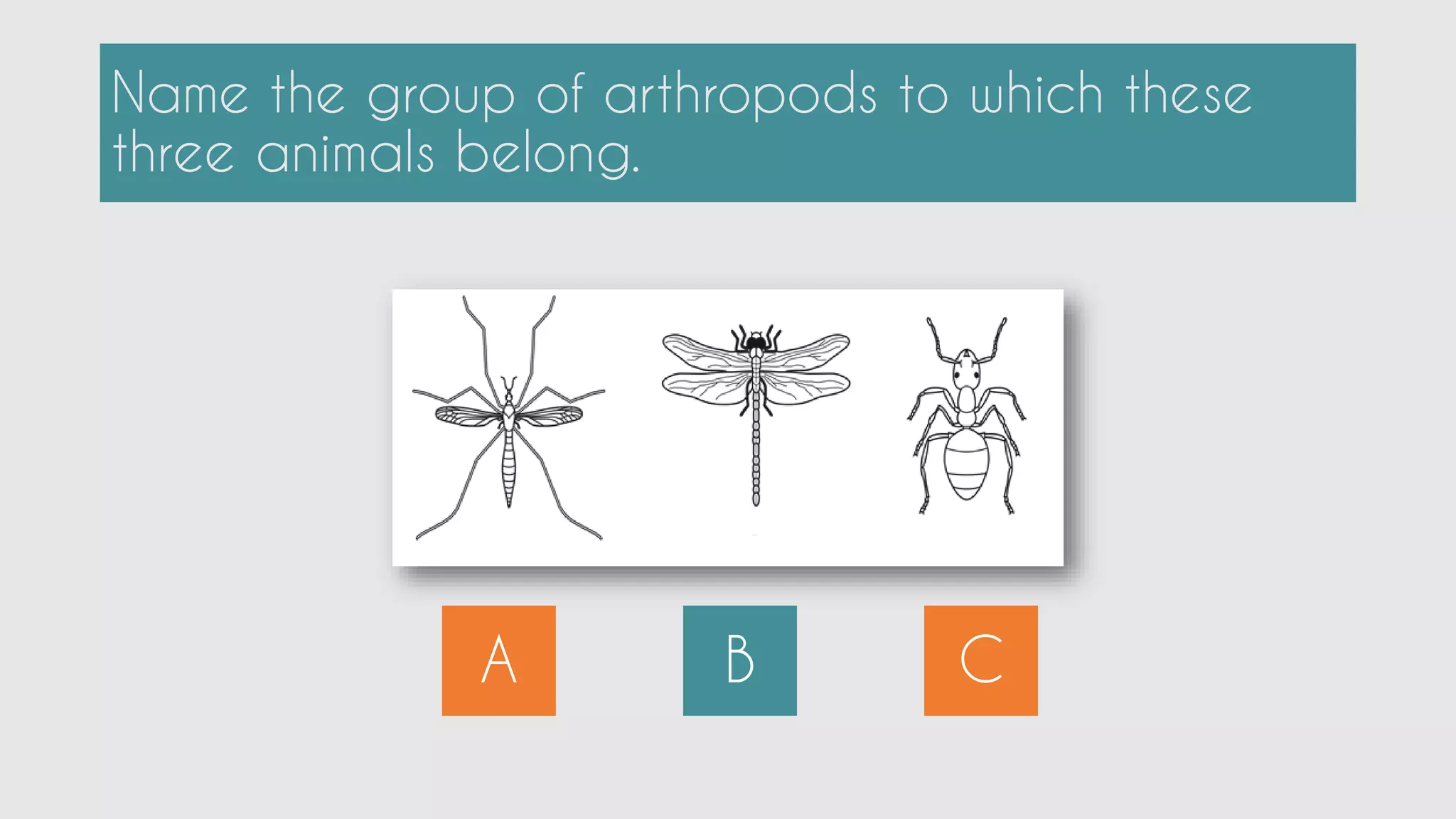 Classification of living organisms - IGCSE - Biology - Questions | PDF
