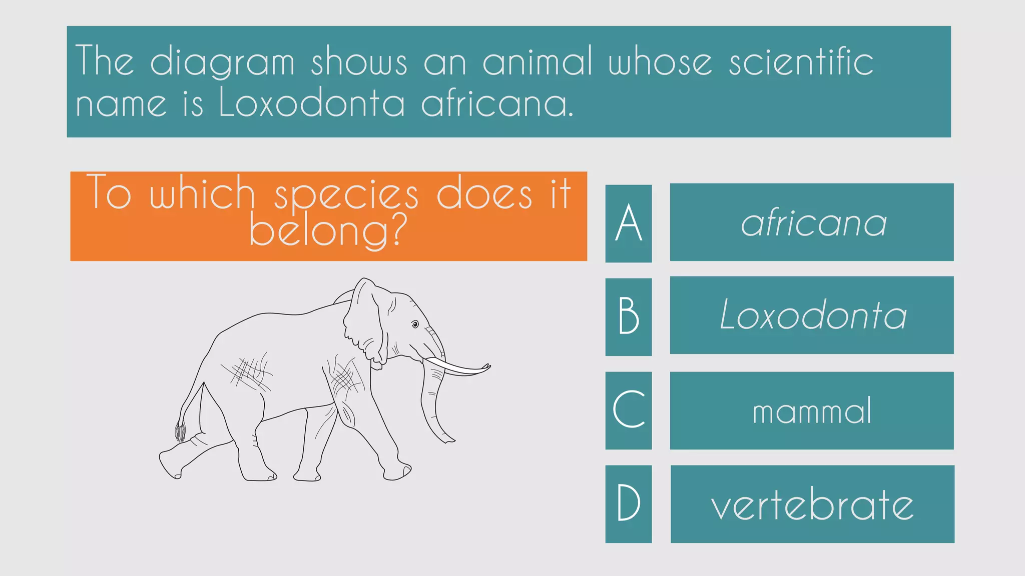 Classification of living organisms - IGCSE - Biology - Questions | PDF