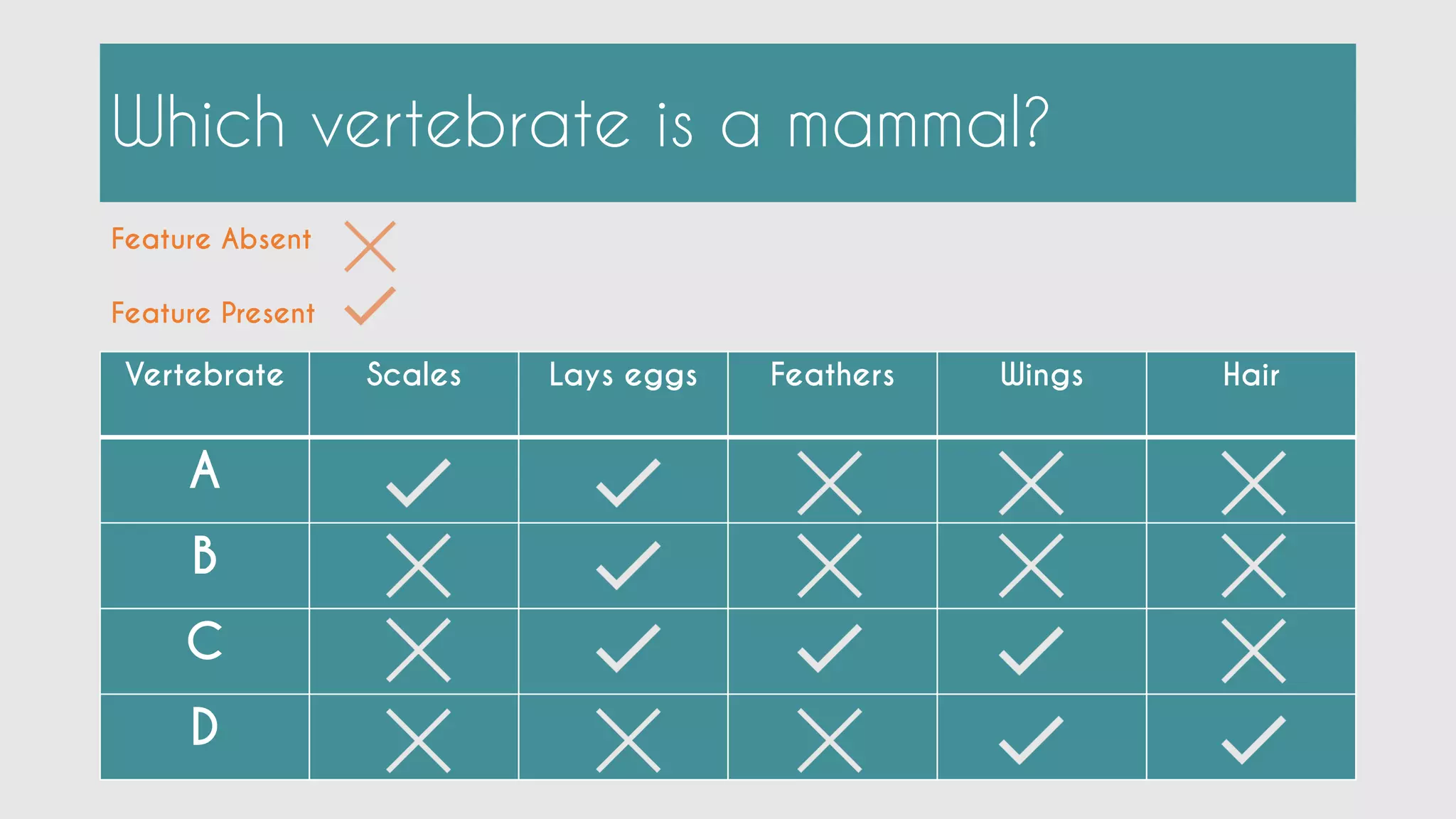 Classification of living organisms - IGCSE - Biology - Questions | PDF