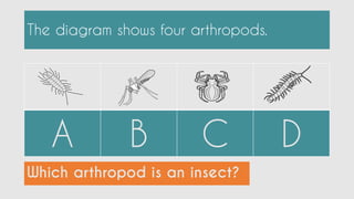 Classification of living organisms - IGCSE - Biology - Questions | PDF