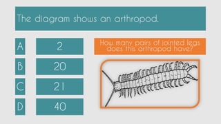 Classification of living organisms - IGCSE - Biology - Questions | PDF