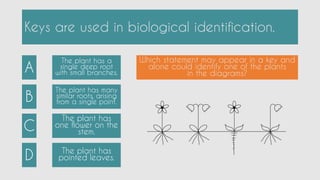 Classification of living organisms - IGCSE - Biology - Questions | PDF