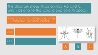 Classification of living organisms - IGCSE - Biology - Questions | PDF