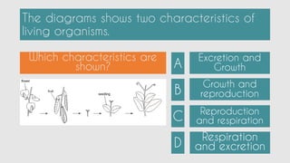 Classification of living organisms - IGCSE - Biology - Questions | PDF