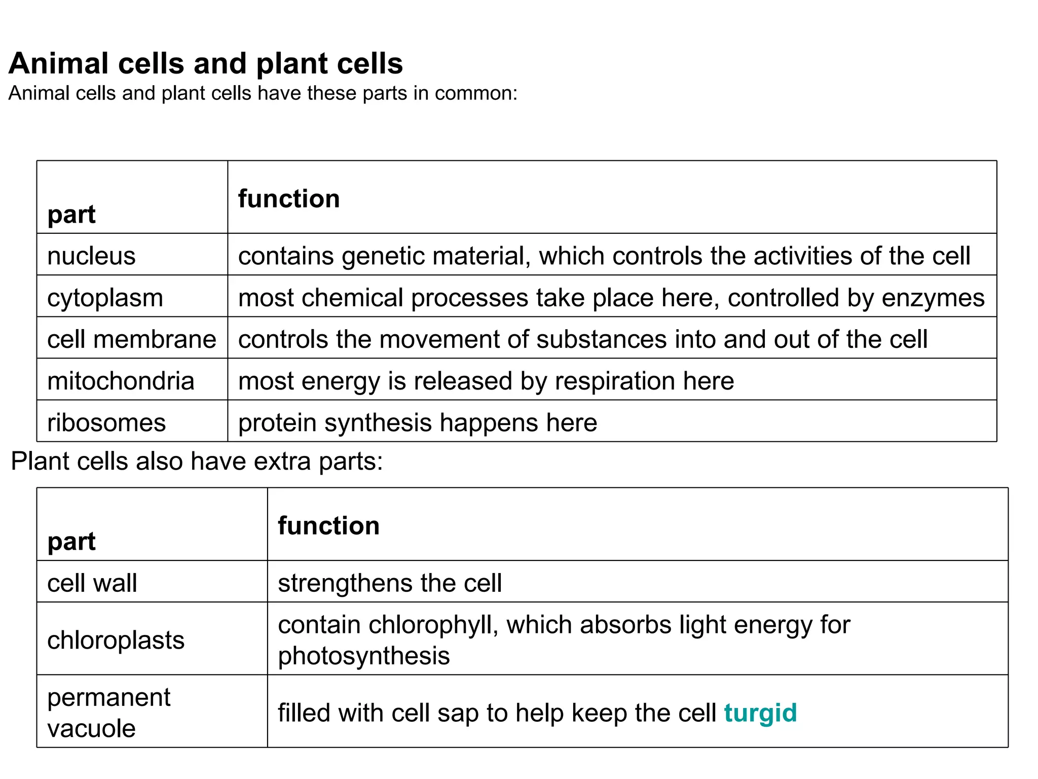 Important Helpful Biology revision notes--Must See | PPT