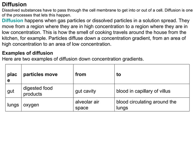 Important Helpful Biology revision notes--Must See | PPT