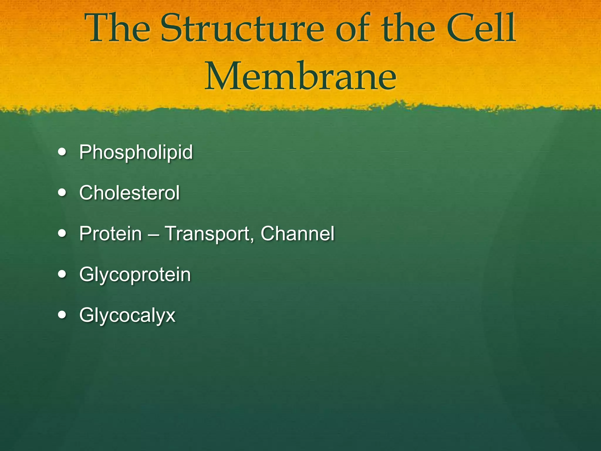 AS Level Biology - 4) Membranes | PPTX