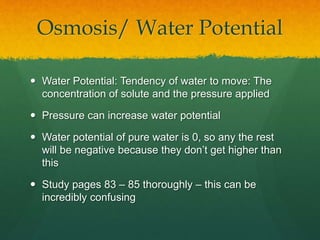AS Level Biology - 4) Membranes | PPTX