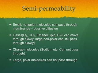 AS Level Biology - 4) Membranes | PPTX