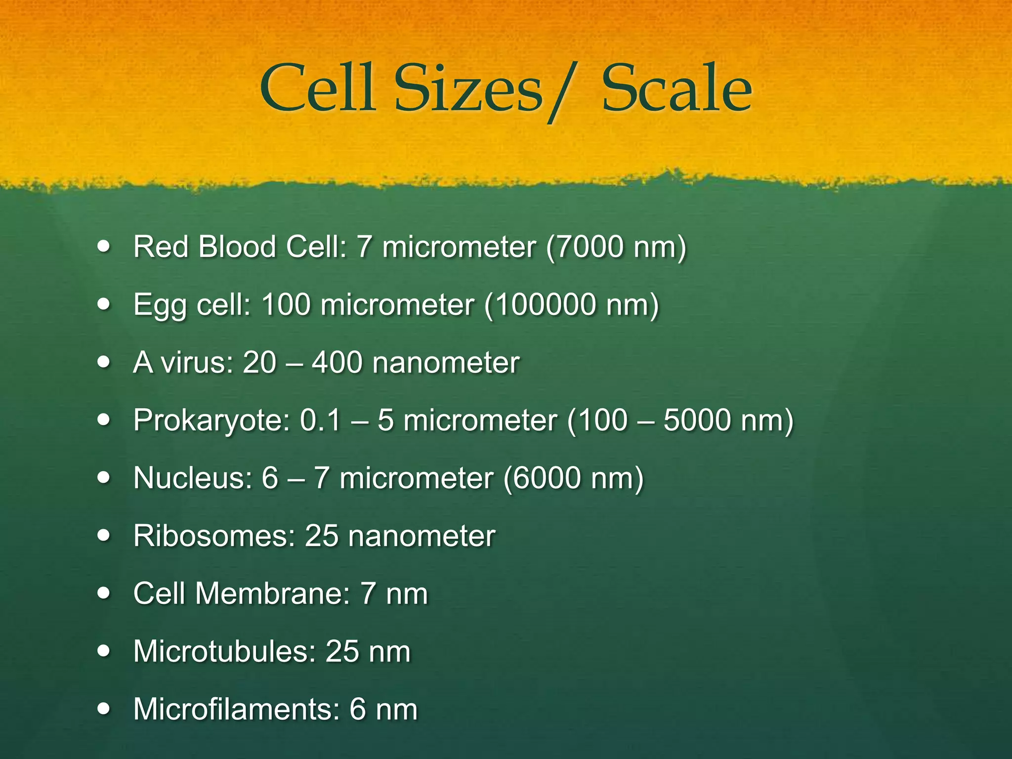 AS Level Biology - 2) Cell Structures | PPTX