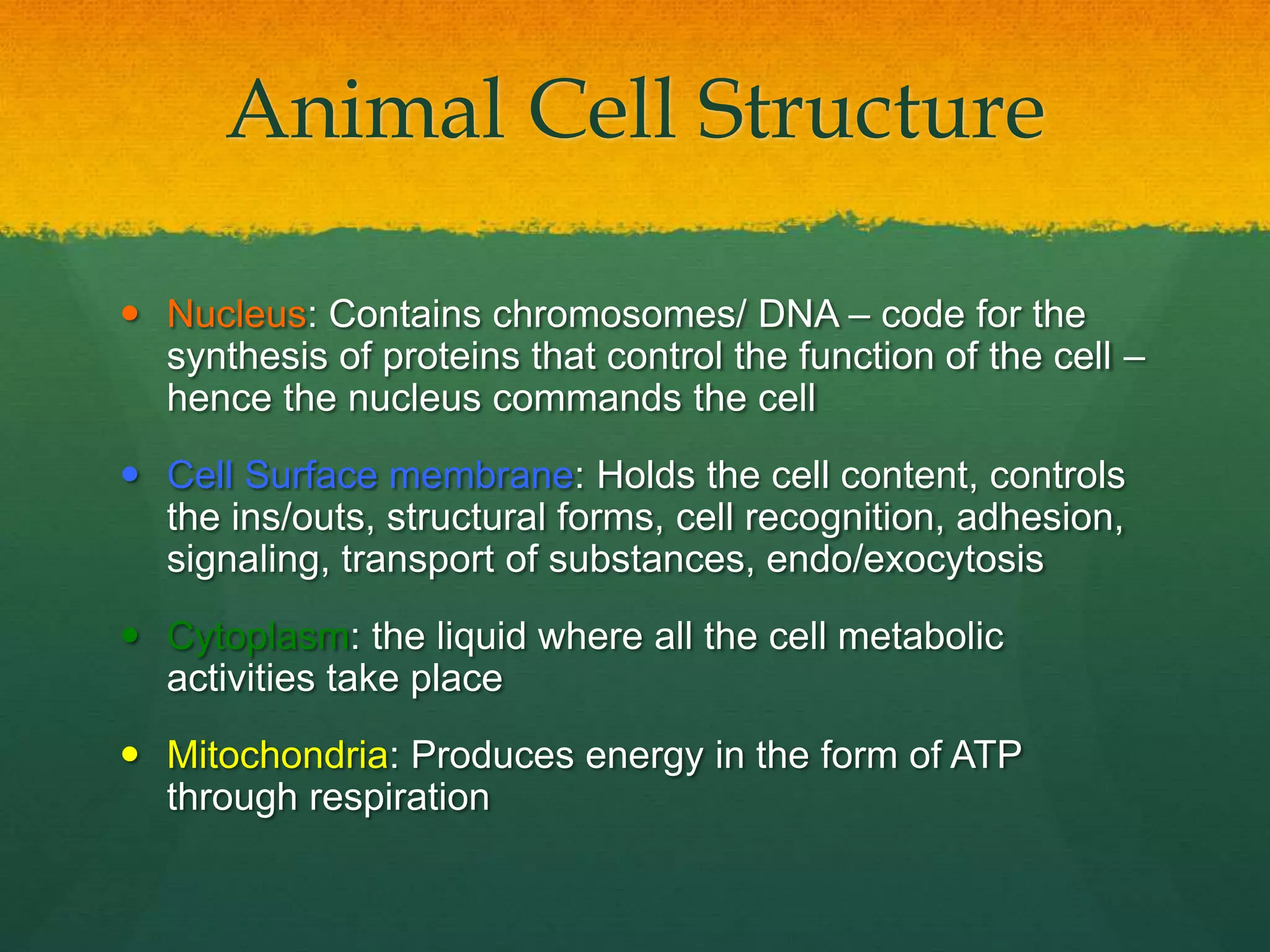 AS Level Biology - 2) Cell Structures | PPTX