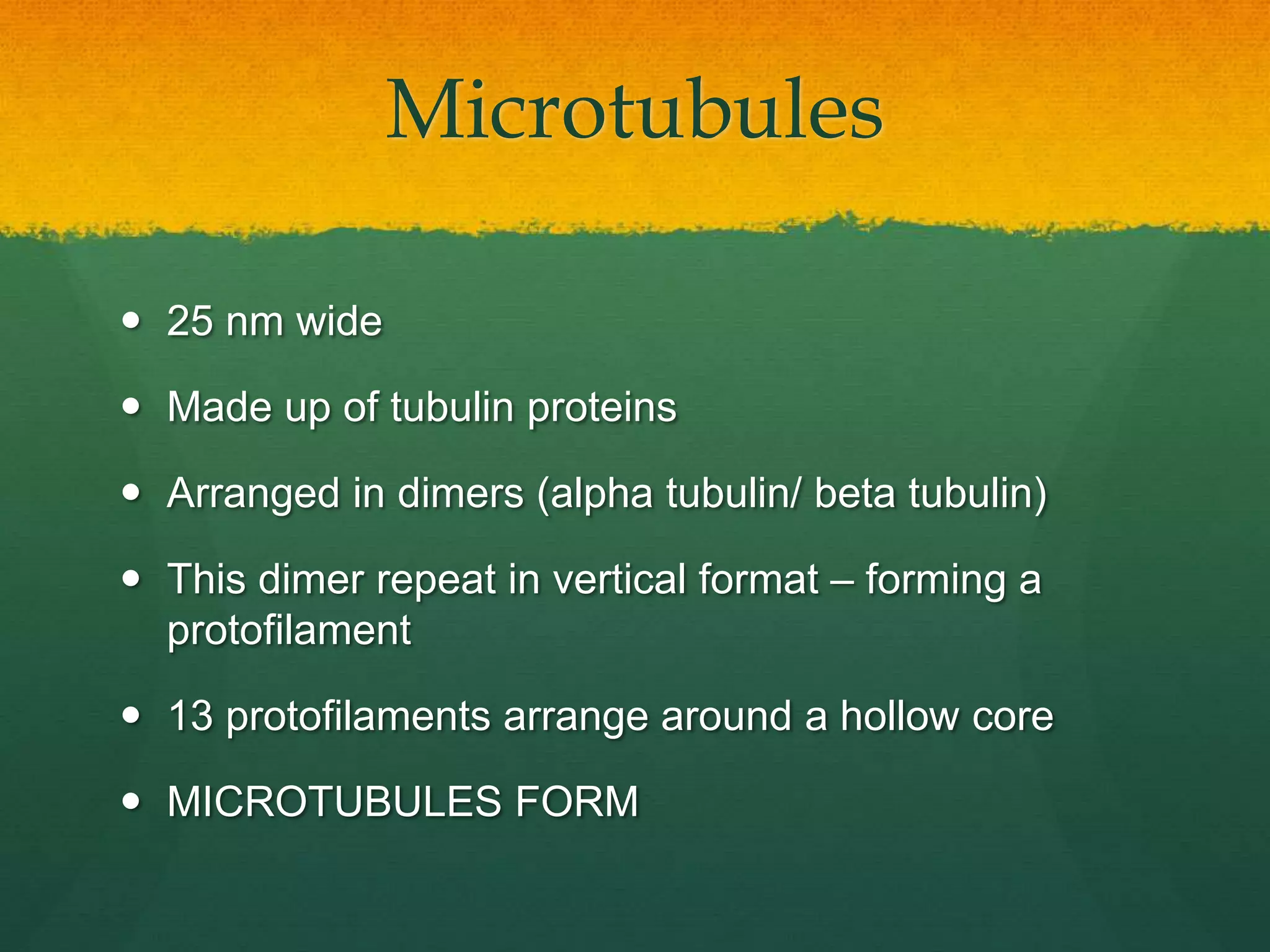AS Level Biology - 2) Cell Structures | PPTX