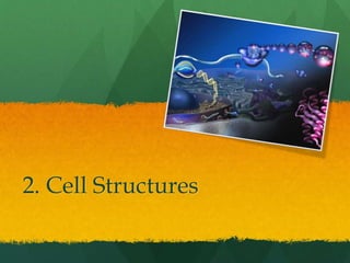 AS Level Biology - 2) Cell Structures | PPTX