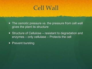AS Level Biology - 2) Cell Structures | PPTX