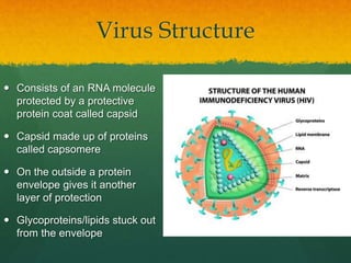 AS Level Biology - 2) Cell Structures | PPTX
