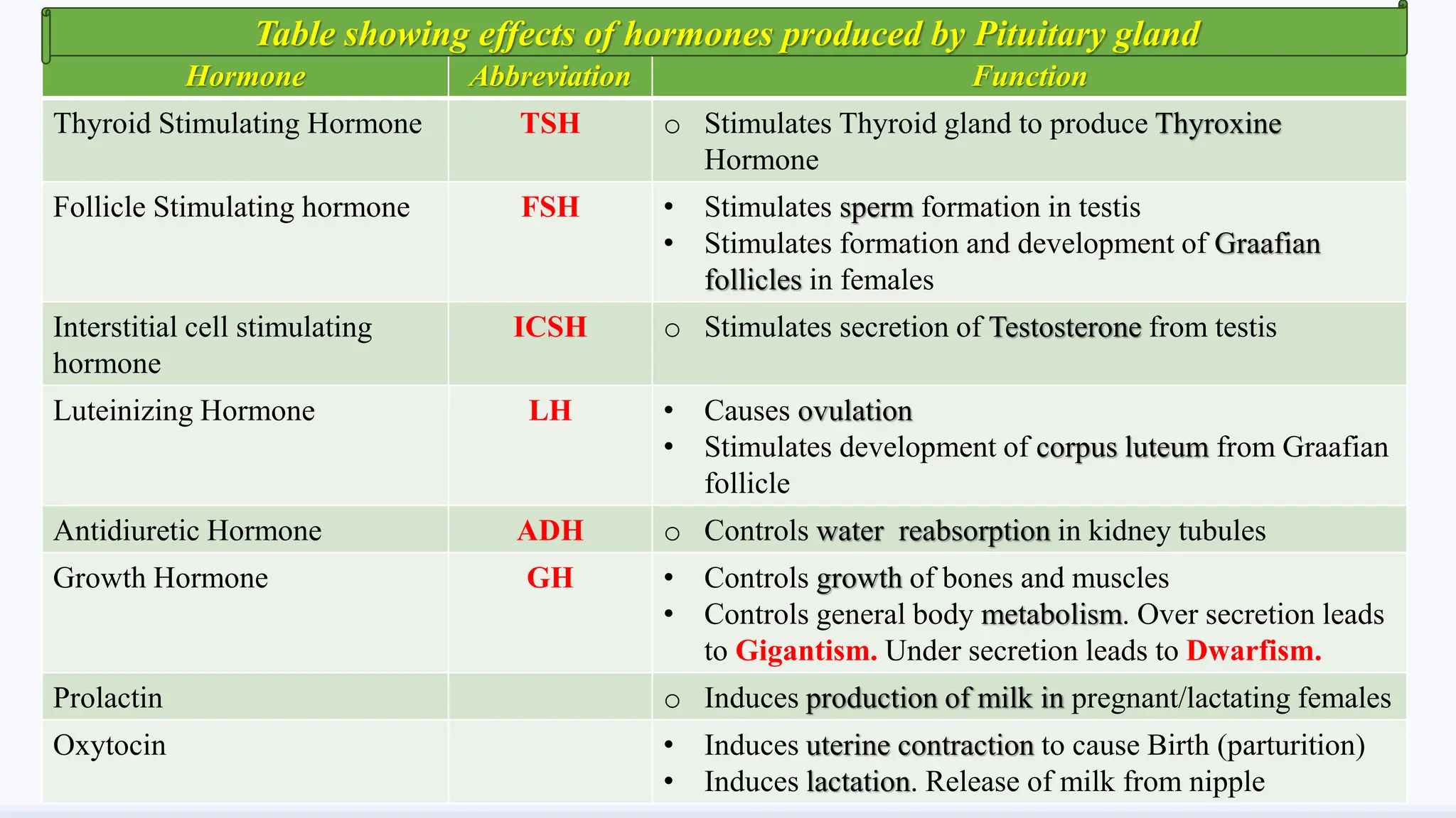 Biology S3 COORDINATION BY TR. OKION 3.pdf