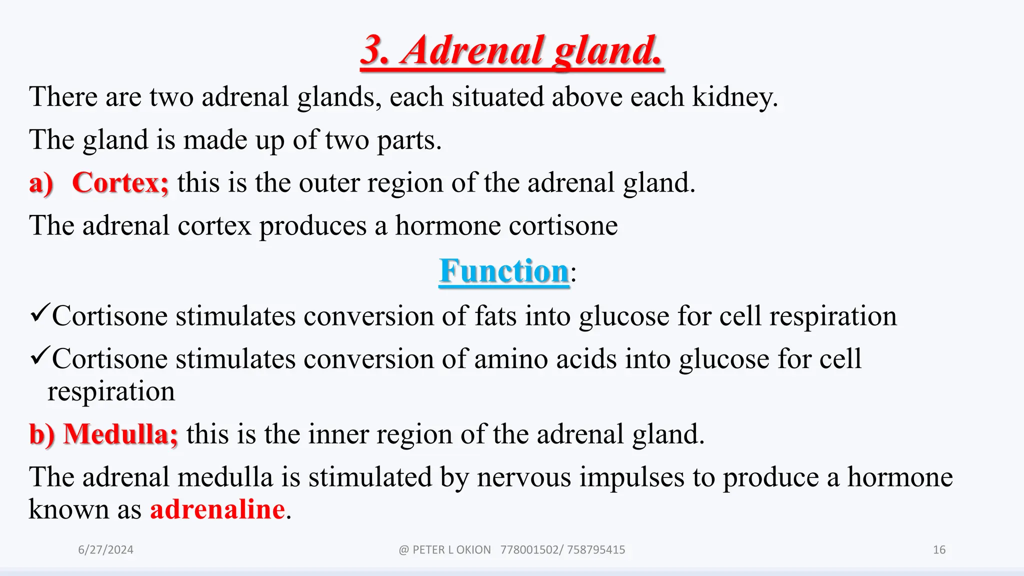 Biology S3 COORDINATION BY TR. OKION 3.pdf