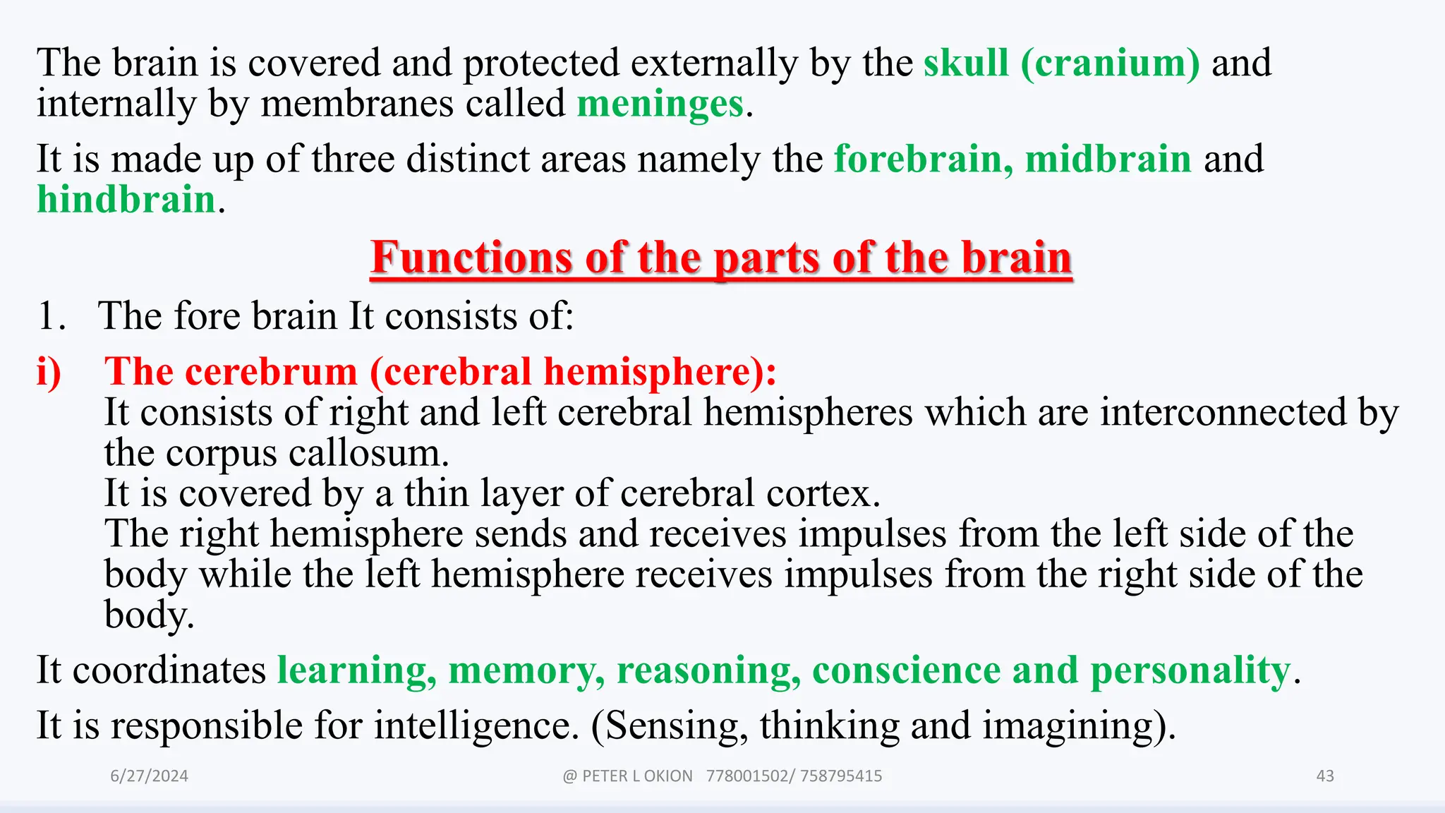 Biology S3 COORDINATION BY TR. OKION 3.pdf