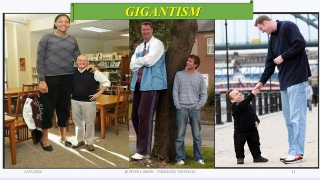 Biology S3 COORDINATION BY TR. OKION 3.pdf | Endocrine and Metabolic ...