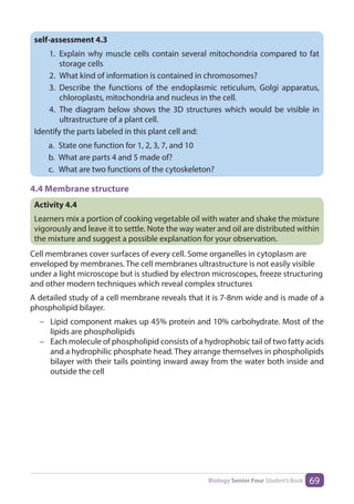 Biology S4 SB.pdf document from Rwanda. | PDF