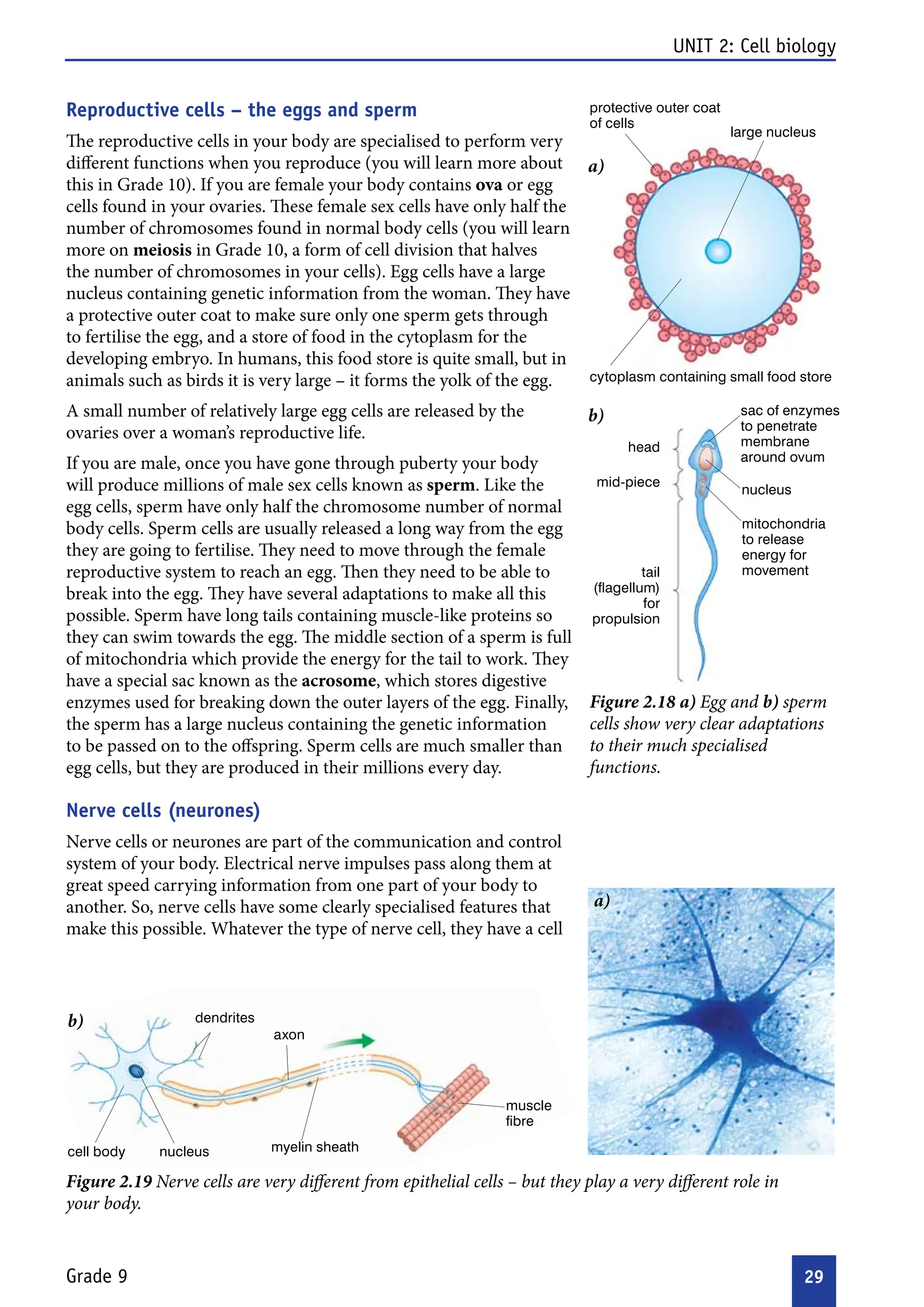 Biology student book grade for Ethiopian 9.pdf