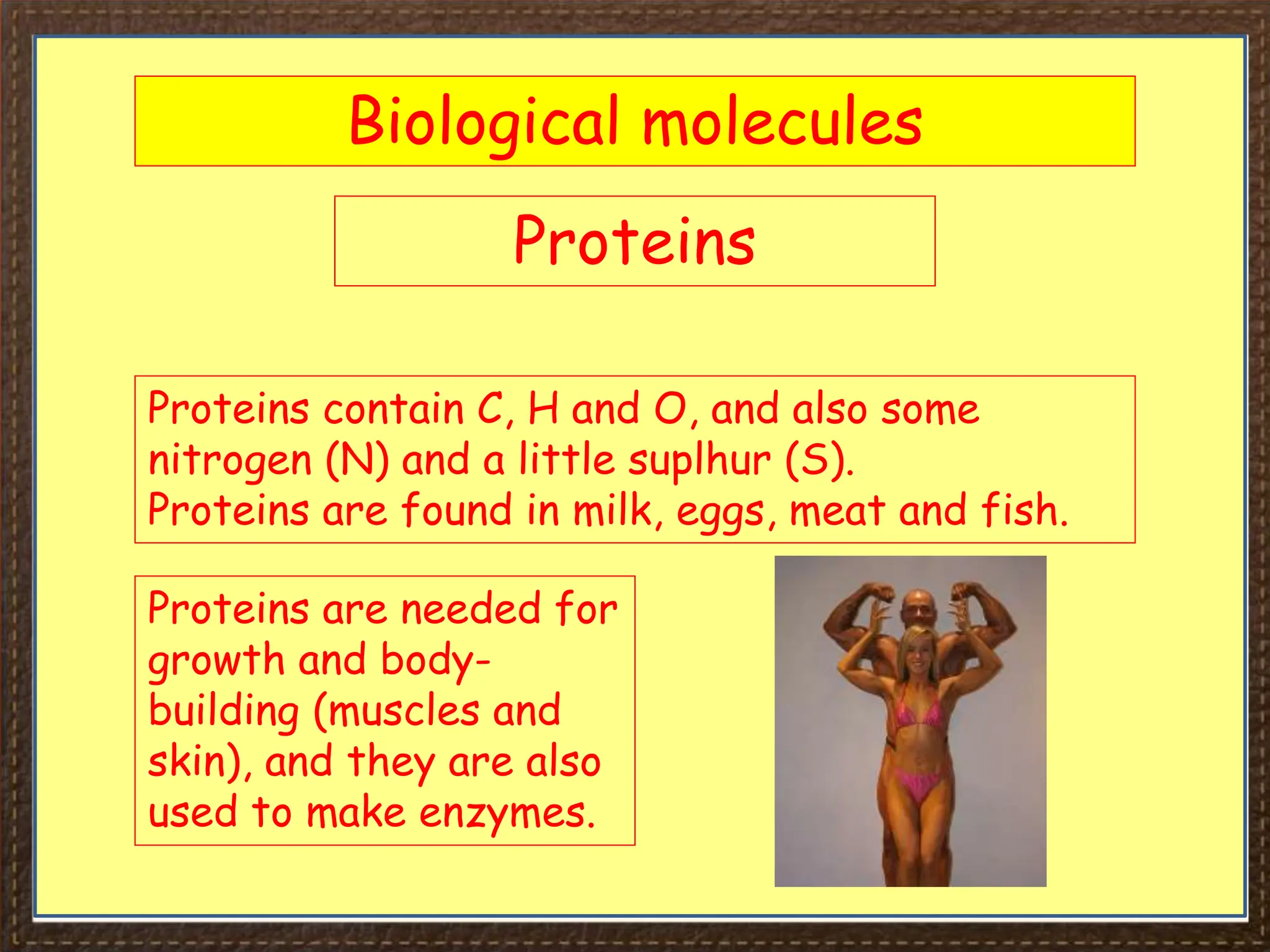 IGCSE CIE Nutrition Biology PowerPoint Presentation | PPT