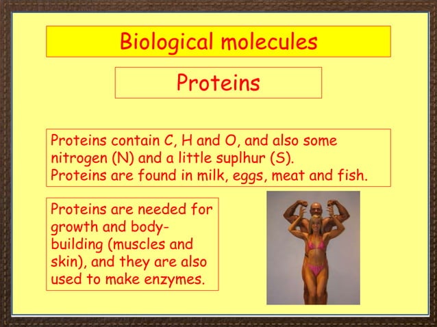 IGCSE CIE Nutrition Biology PowerPoint Presentation | PPT