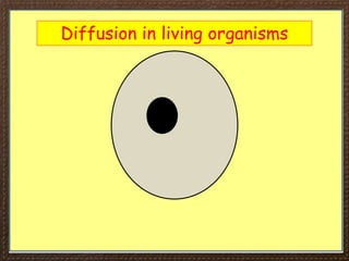 Biology Section 2 Lesson 5.ppt