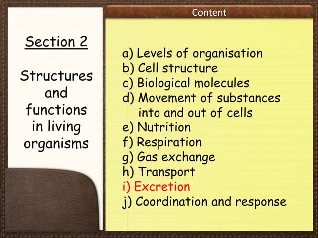 Biology Section 2 Lesson 6.ppt | Lung and Respiratory Health | Diseases ...