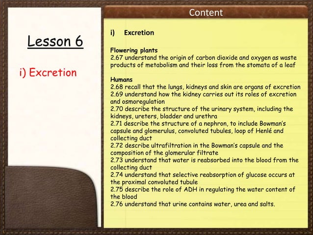Biology Section 2 Lesson 6.ppt | Lung and Respiratory Health | Diseases ...